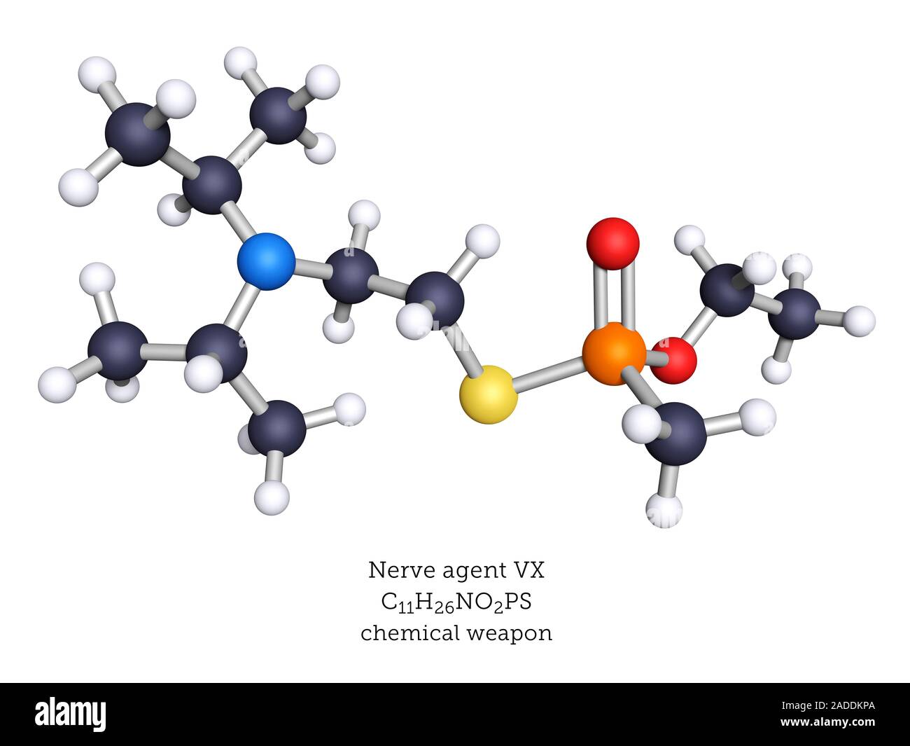 Nerve agent VX (venomous agent X) is a thiophosphonate developed for ...