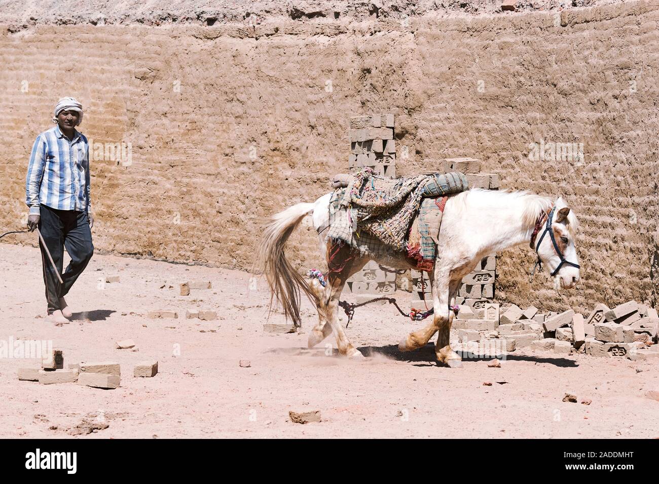 Mud brick industry. Worker with a donkey used for transporting baked ...