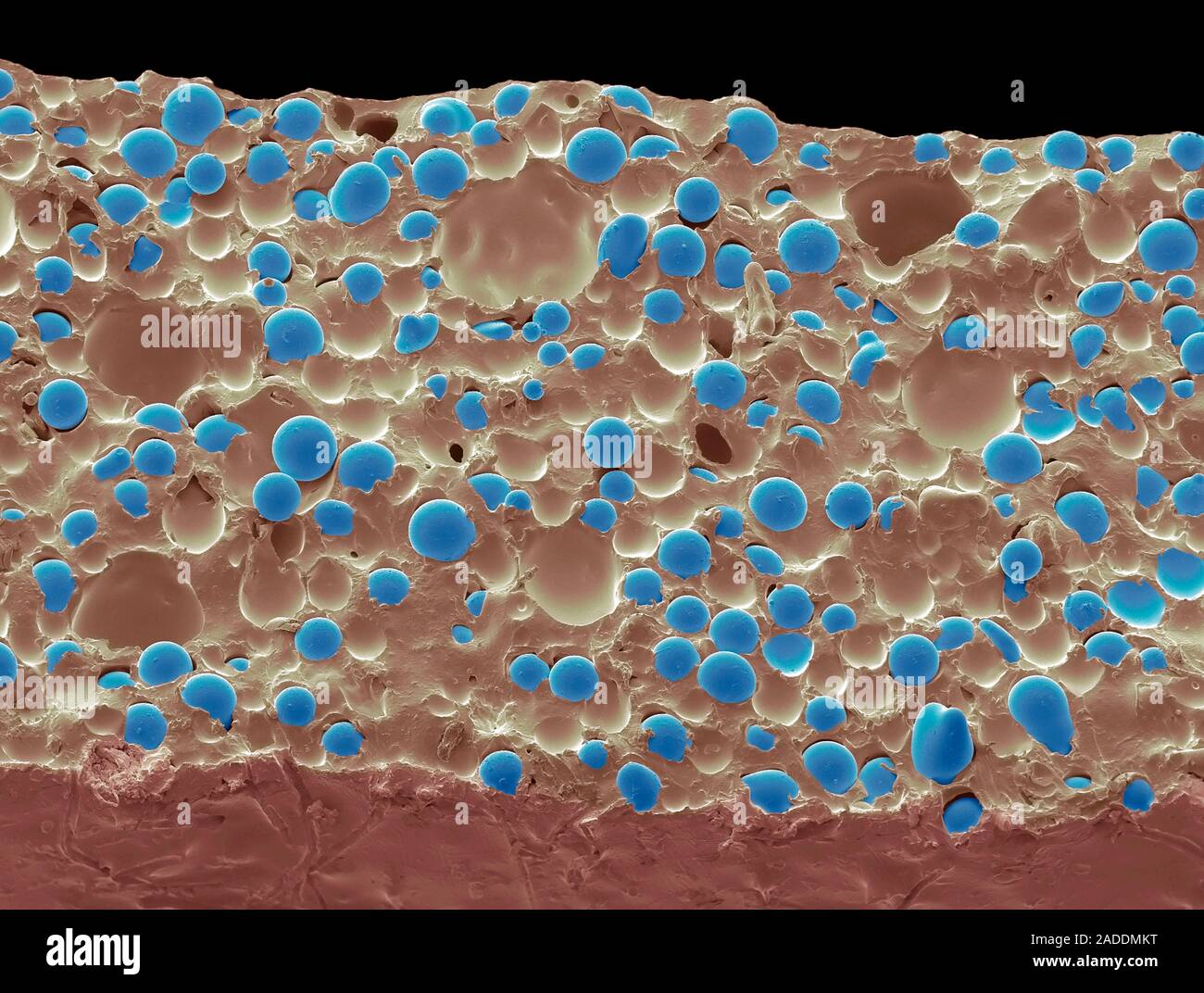 Quantum tunnelling composite. Scanning electron micrograph (SEM ... Quantum tunnelling composite. Scanning electron micrograph (SEM ...