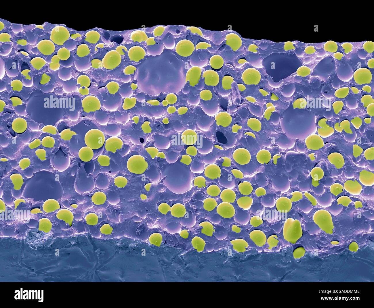 Quantum tunnelling composite. Scanning electron micrograph (SEM ...