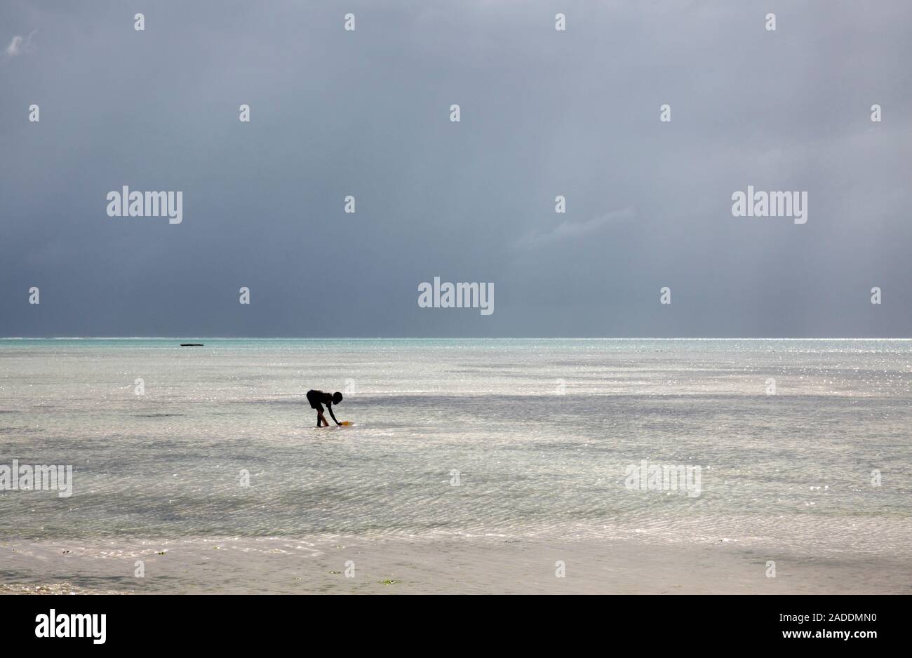 Boy collecting sea water on a beach. Photographed in Jambiani, Zanzibar ...