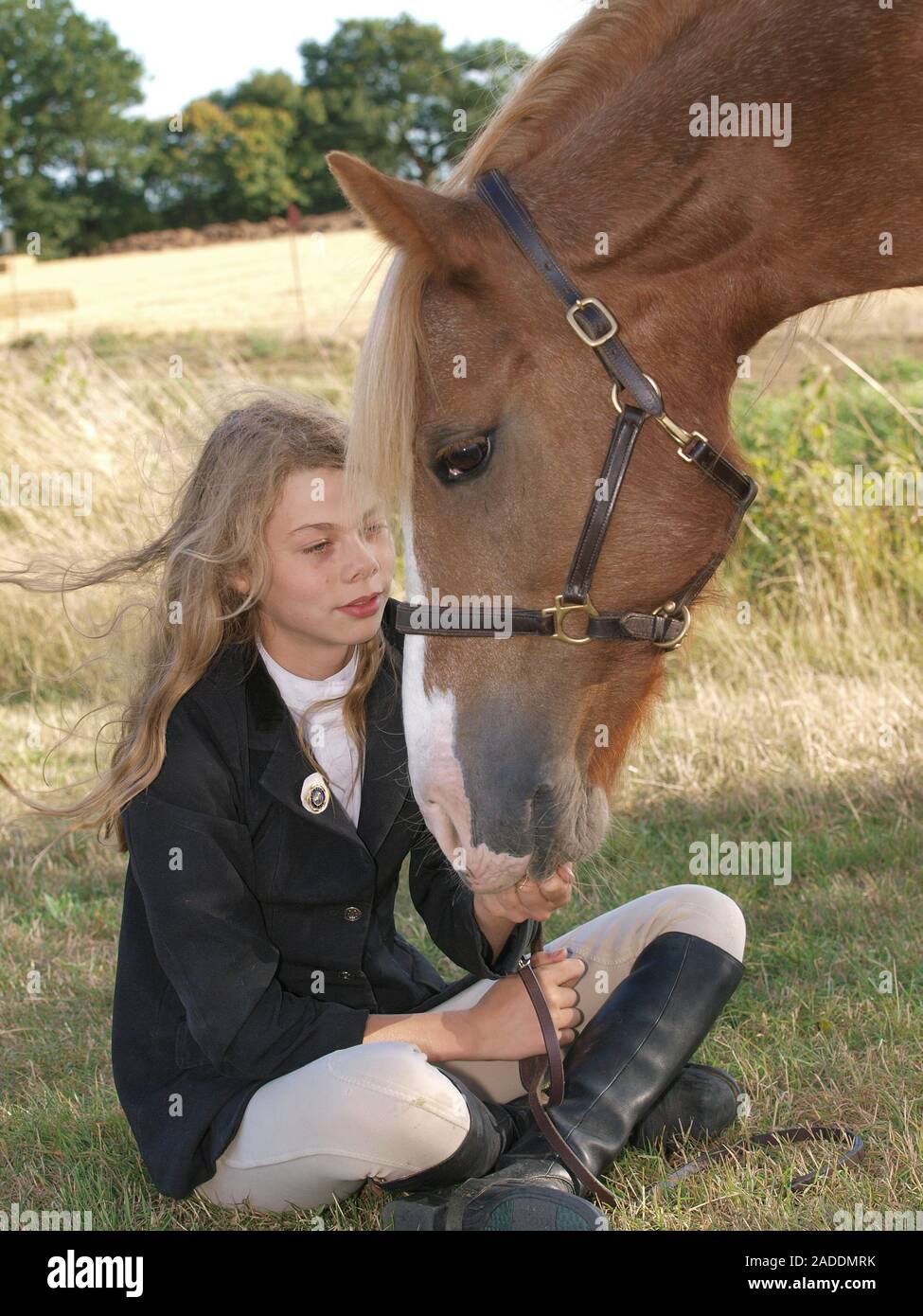 A girl and her cute chestnut pony in the summer Stock Photo - Alamy