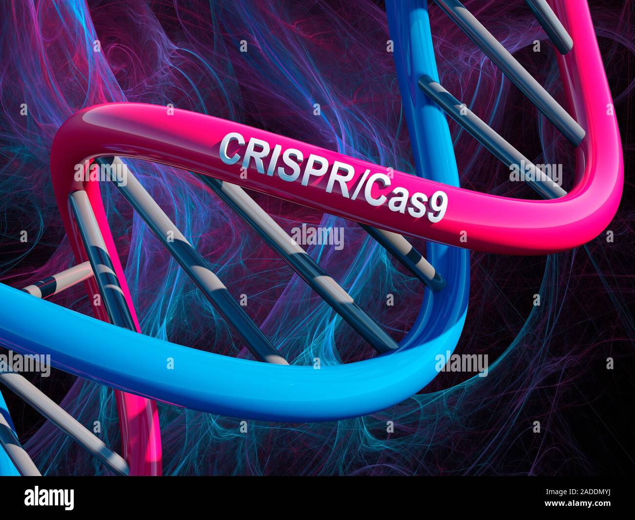 DNA model with CRISPR/Cas9 text. The CRISPR/Cas (Clustered Regularly ...