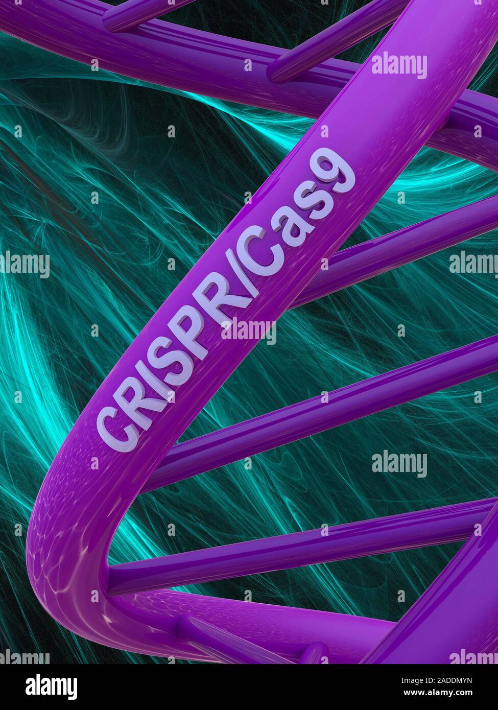 DNA model with CRISPR/Cas9 text. The CRISPR/Cas (Clustered Regularly ...