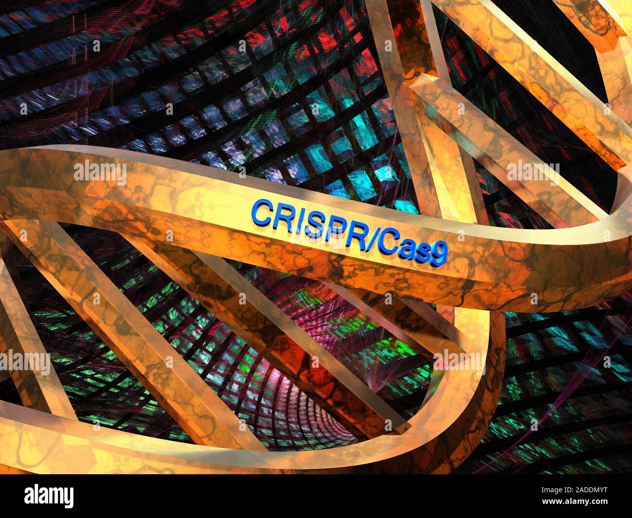 DNA model with CRISPR/Cas9 text. The CRISPR/Cas (Clustered Regularly ...