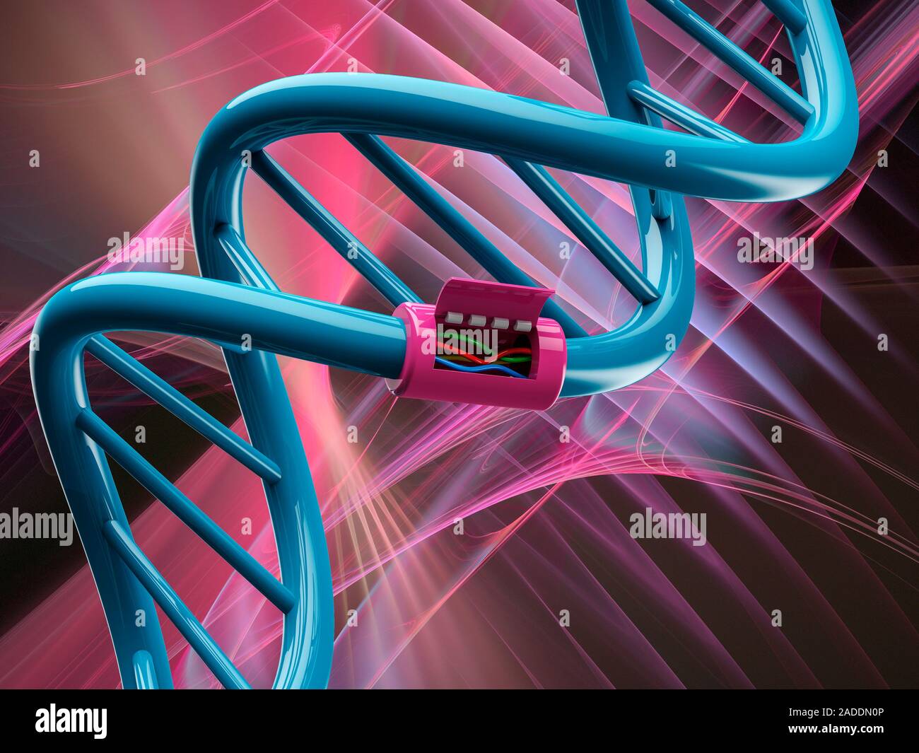 DNA maintenance, illustration. Conceptual illustration showing a DNA ...