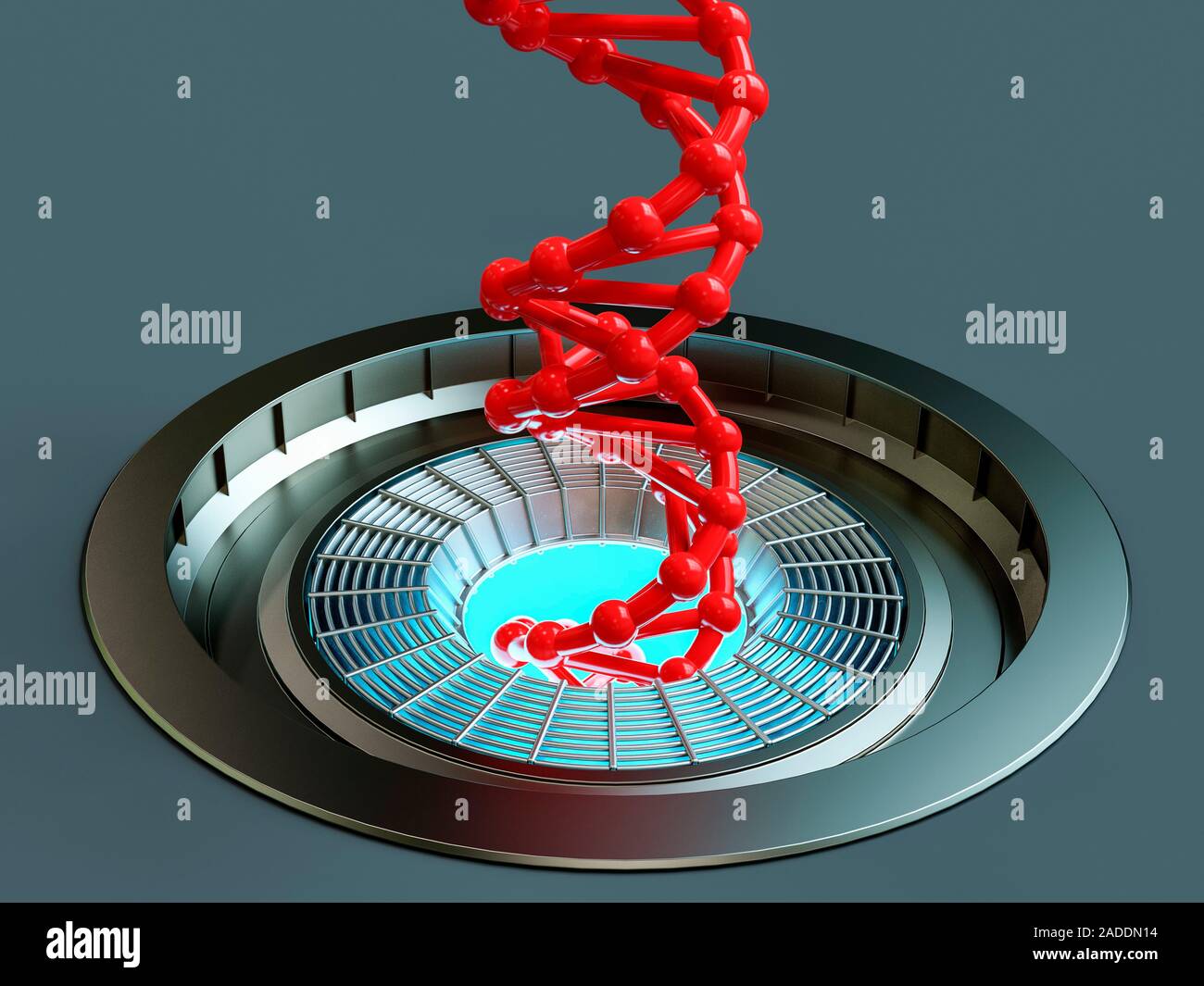 Artificial DNA construction. Conceptual illustration of a DNA model ...