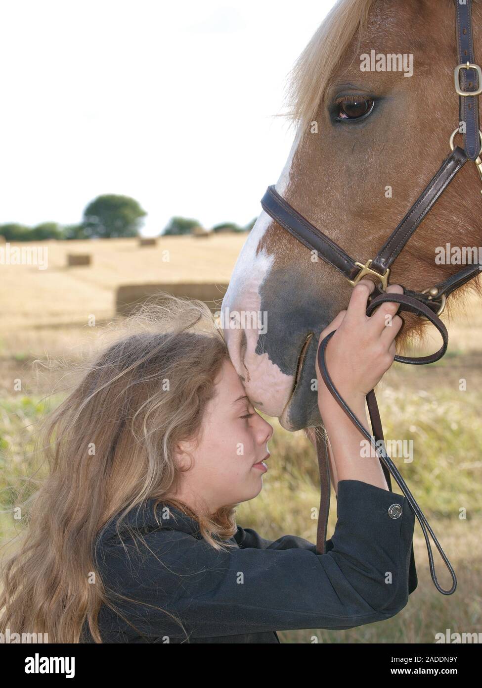 A girl and her cute chestnut pony in the summer Stock Photo - Alamy