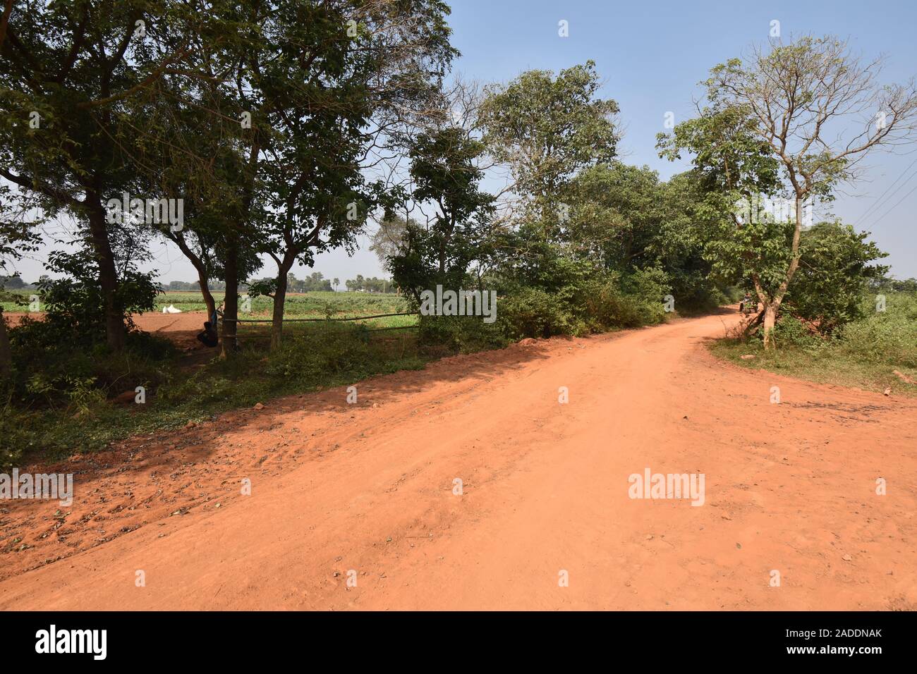 Gangani village road. Garbeta, West Midnapoe, West Bengal, India Stock ...