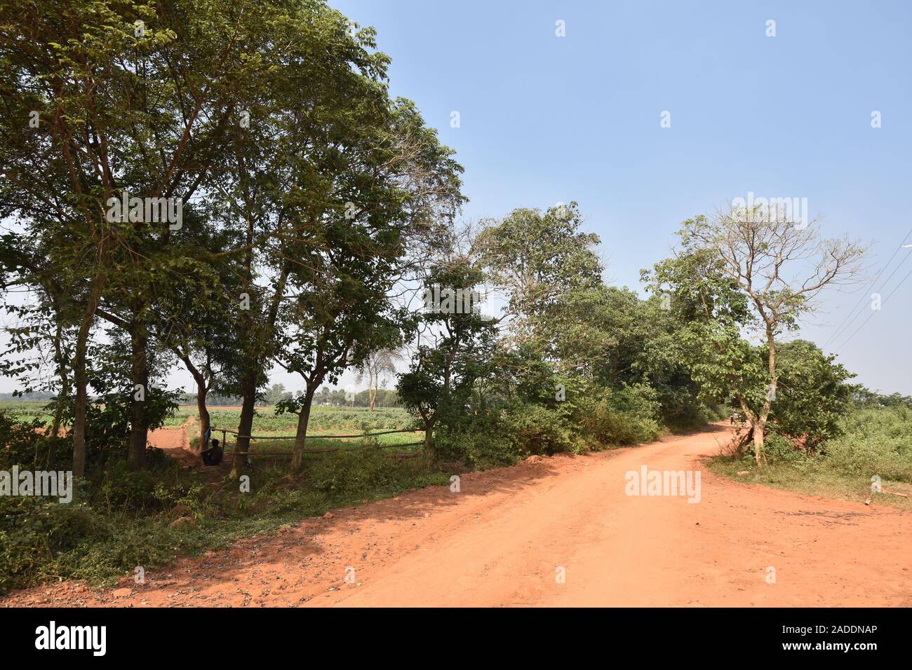 Gangani village road. Garbeta, West Midnapoe, West Bengal, India Stock ...
