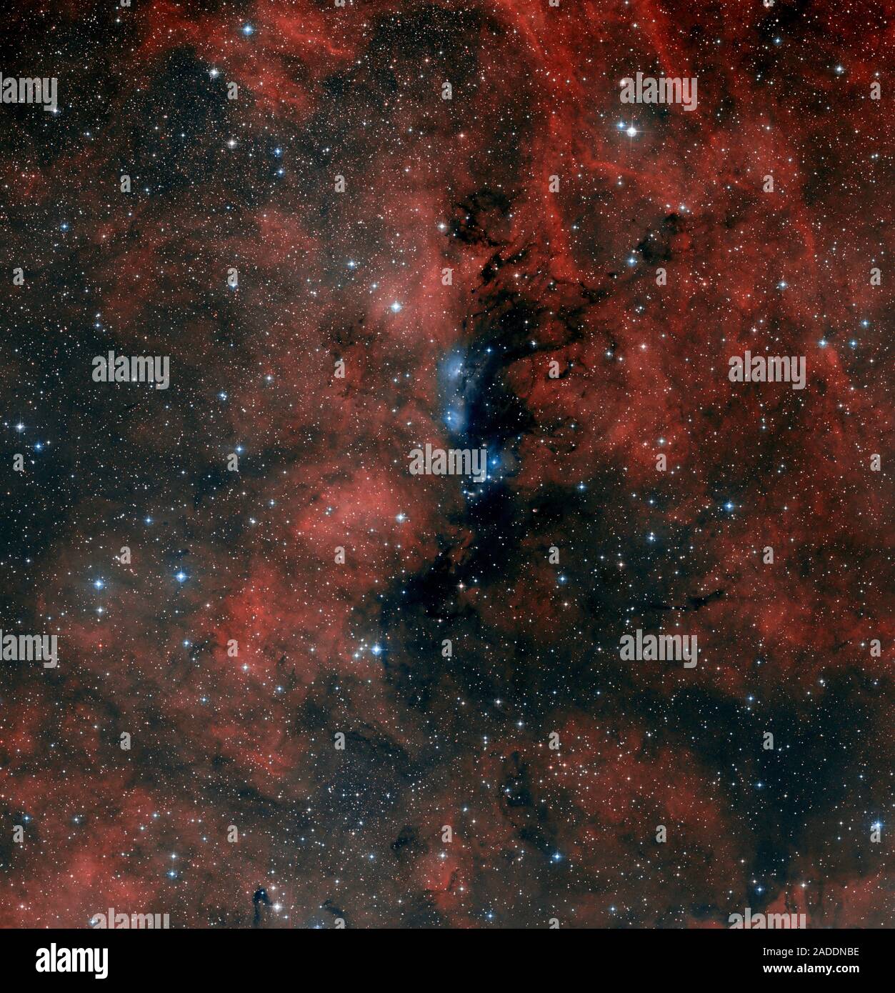NGC 6914 nebulae. The red parts of this mixed nebula are emission ...