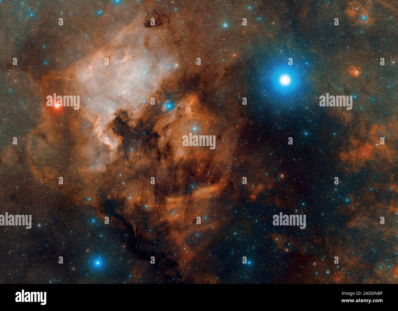 The North America Nebula (NGC 7000 or Caldwell 20) is an emission nebula in the constellation ...