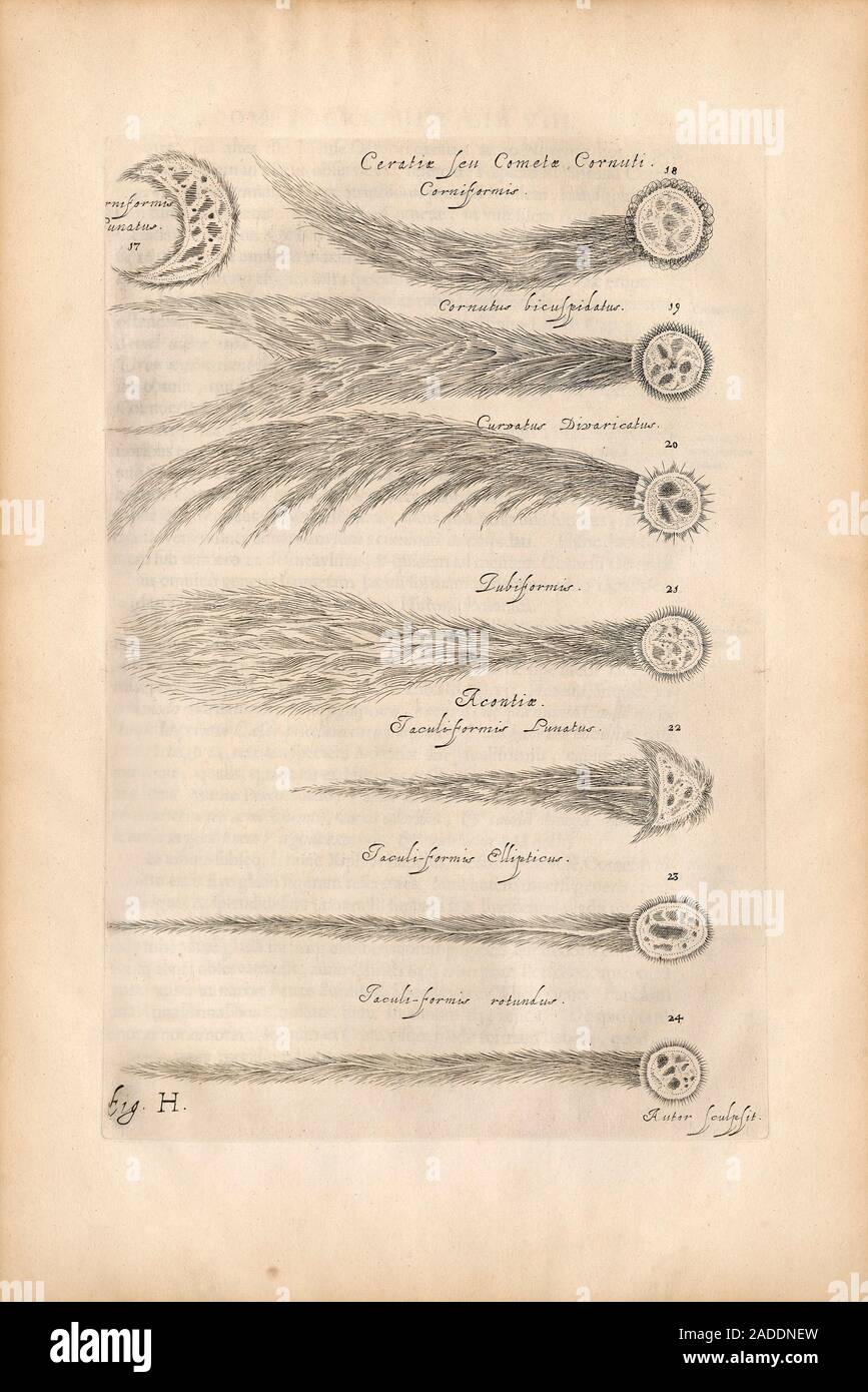 Types of comets. Illustration from Cometographia (1668), by the Polish ...