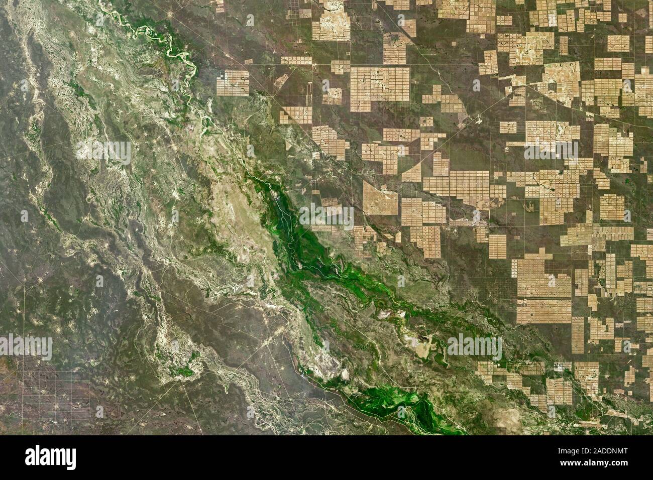 Deforestation in Paraguay. Satellite image of areas of deforestation ...