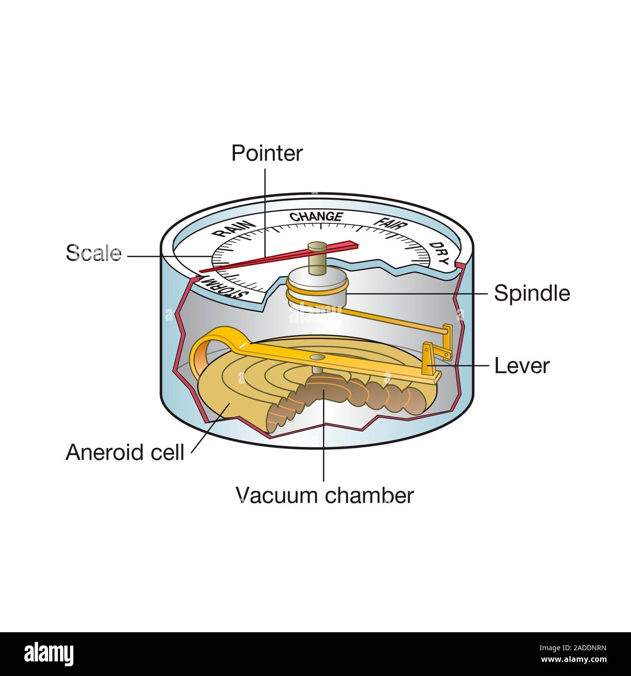 Aneroid barometer. Cutaway illustration of an aneroid barometer, an ...