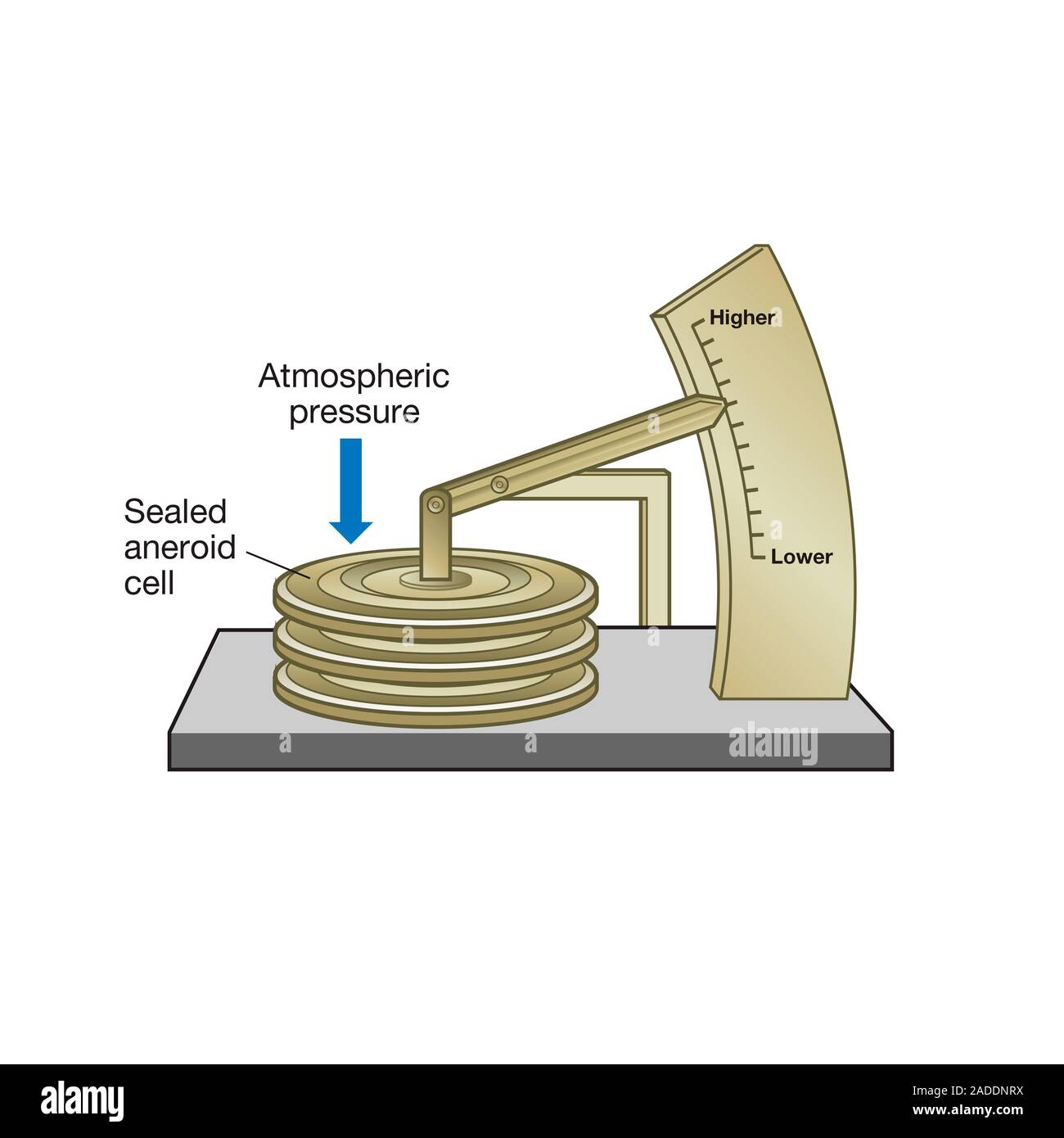Aneroid barometer, illustration. An aneroid barometer is an instrument ...