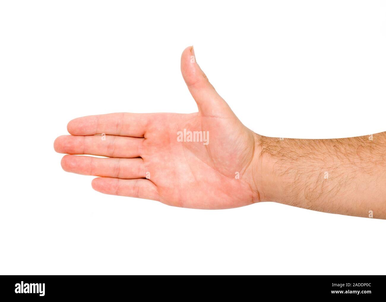 Hand ready for handshaking Stock Photo - Alamy