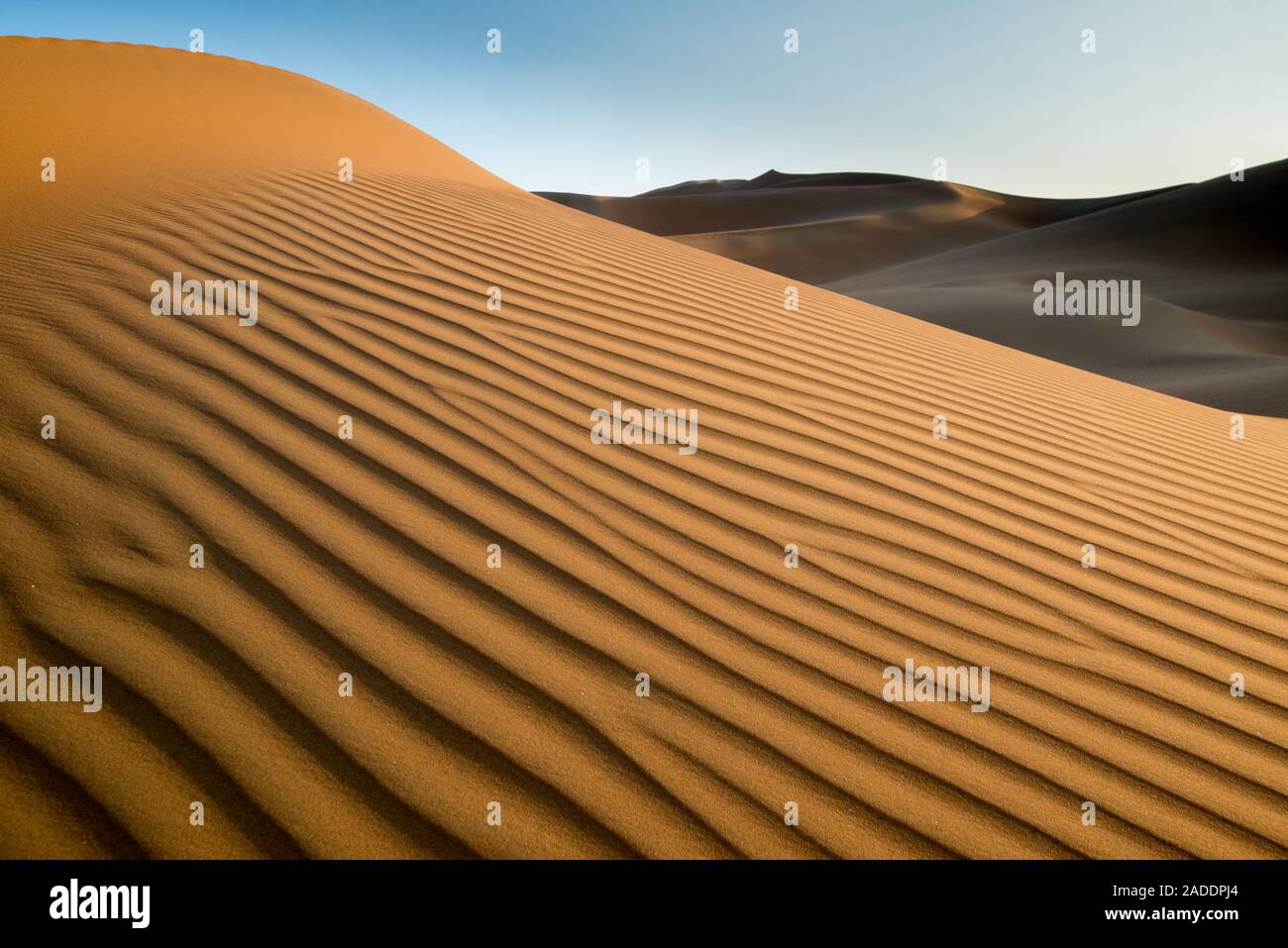 Sunlight over rippling sand dunes in desert. The Empty Quarter (Rub' al ...