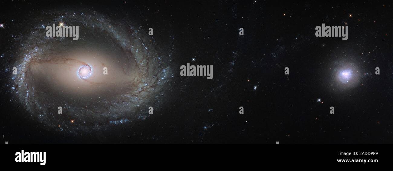 Colliding galaxies NGC 1512 and NGC 1510, Hubble Space Telescope (HST ...