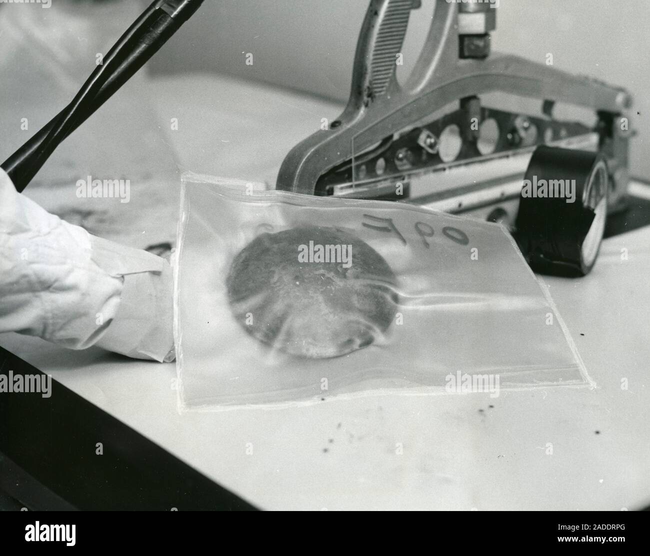 Plutonium production process, 1960s. The object in the plastic bag is ...