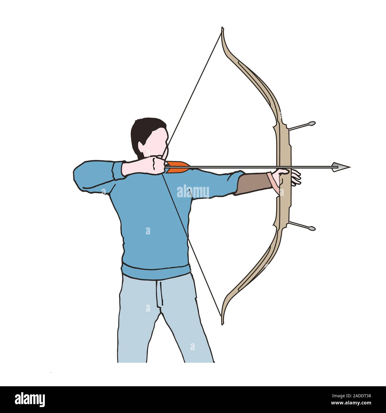 Archer with a longbow, illustration. As the arrow is drawn back on the ...