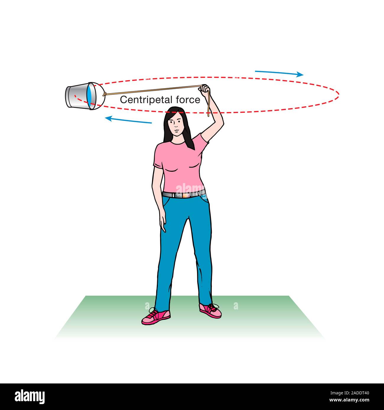 Centripetal force and inertia, illustration. A woman spins a bucket of ...