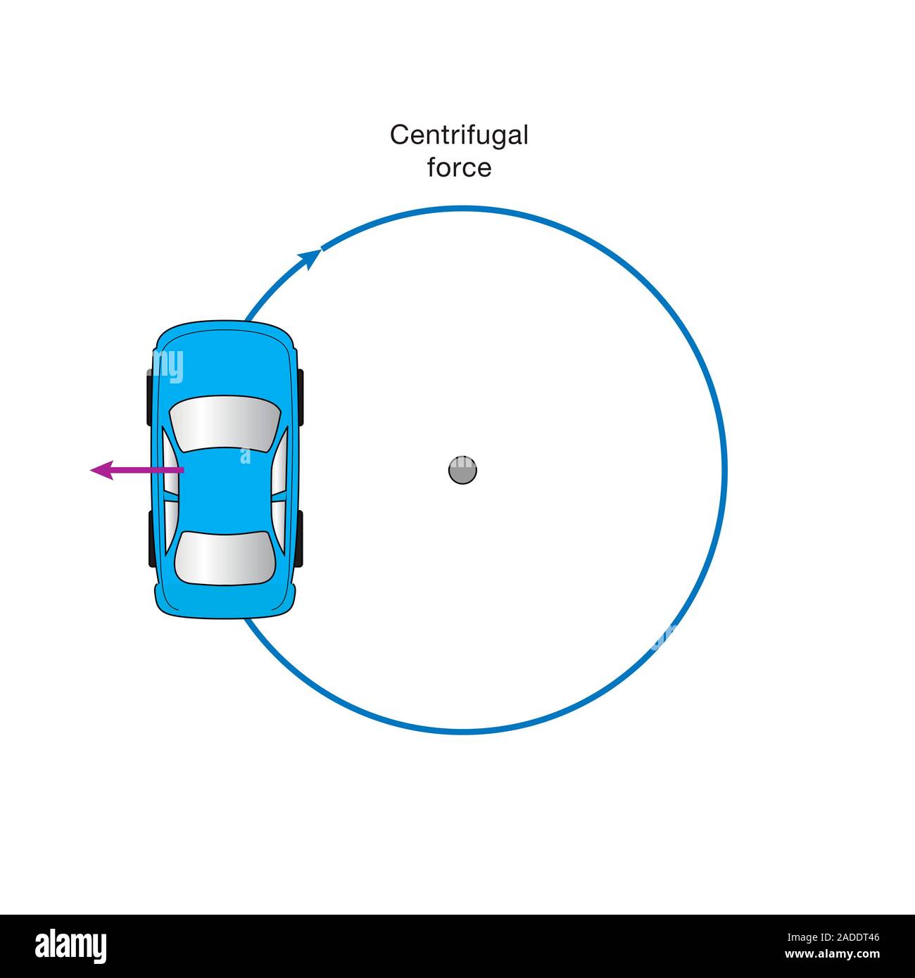 Centrifugal force, illustration. The purple arrow indicates the ...