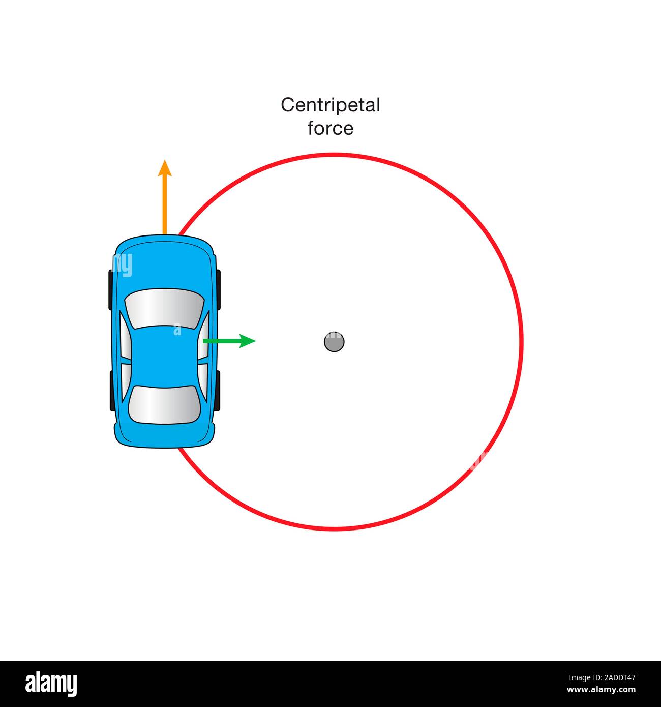 Centripetal force, illustration. The green arrow indicates the ...