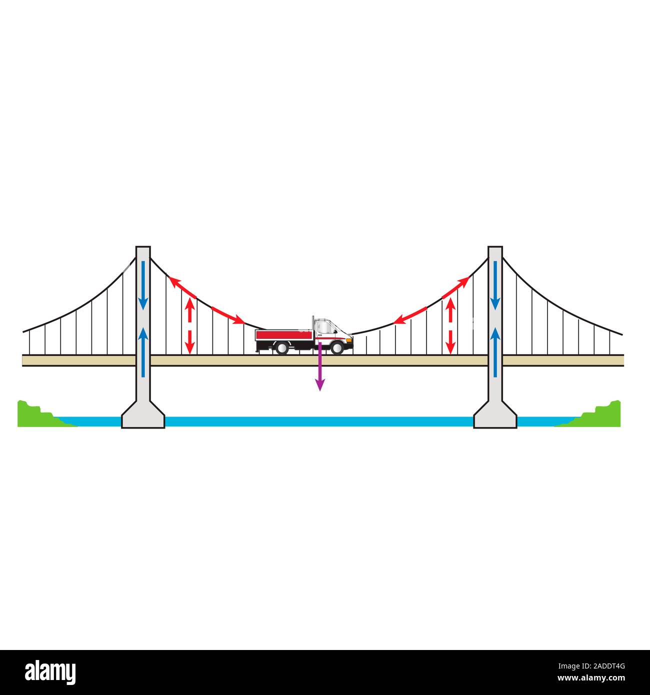 Suspension bridge. Illustration showing the forces present in a ...