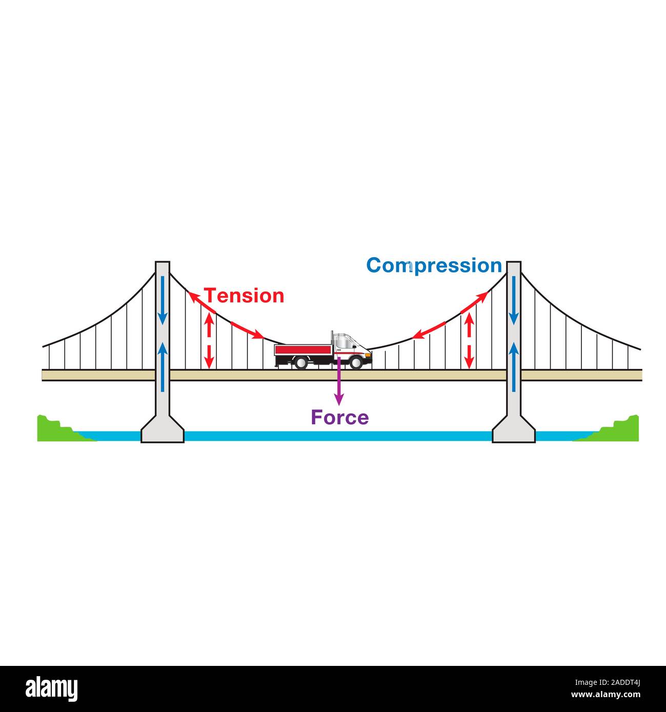 Suspension bridge. Illustration showing the forces present in a ...