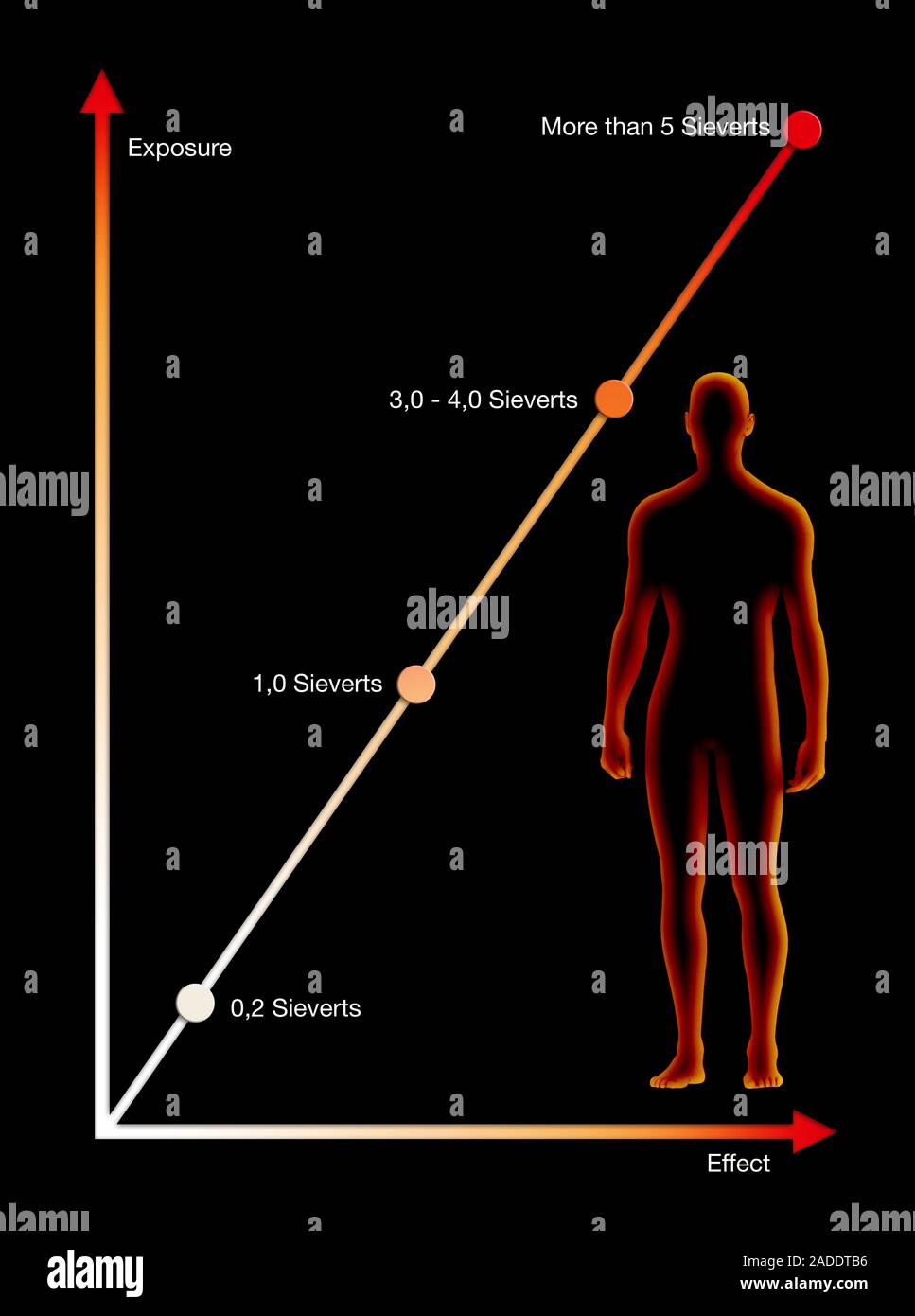 Radiation Effects On Humans
