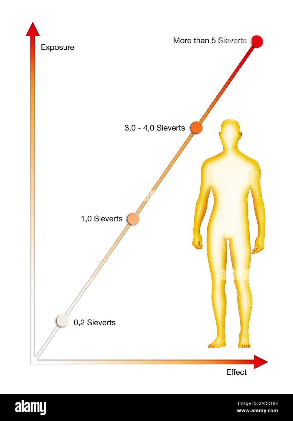What Are The Effects Of Radiation To Human