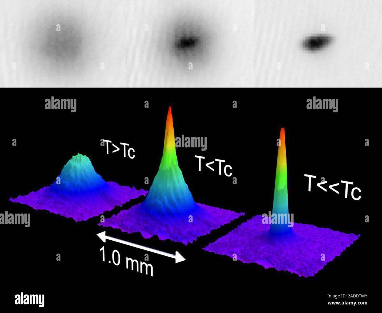 Bose-Einstein condensate (BEC), temperature contour plot. This quantum ...