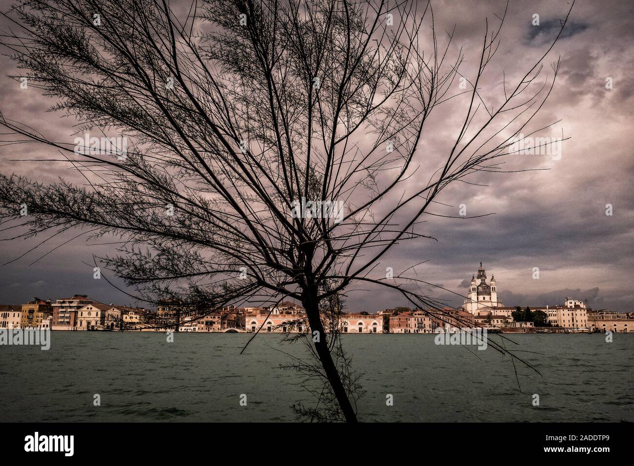 Venice in autumn. Walk along the promenade of the island of Giudecca ...