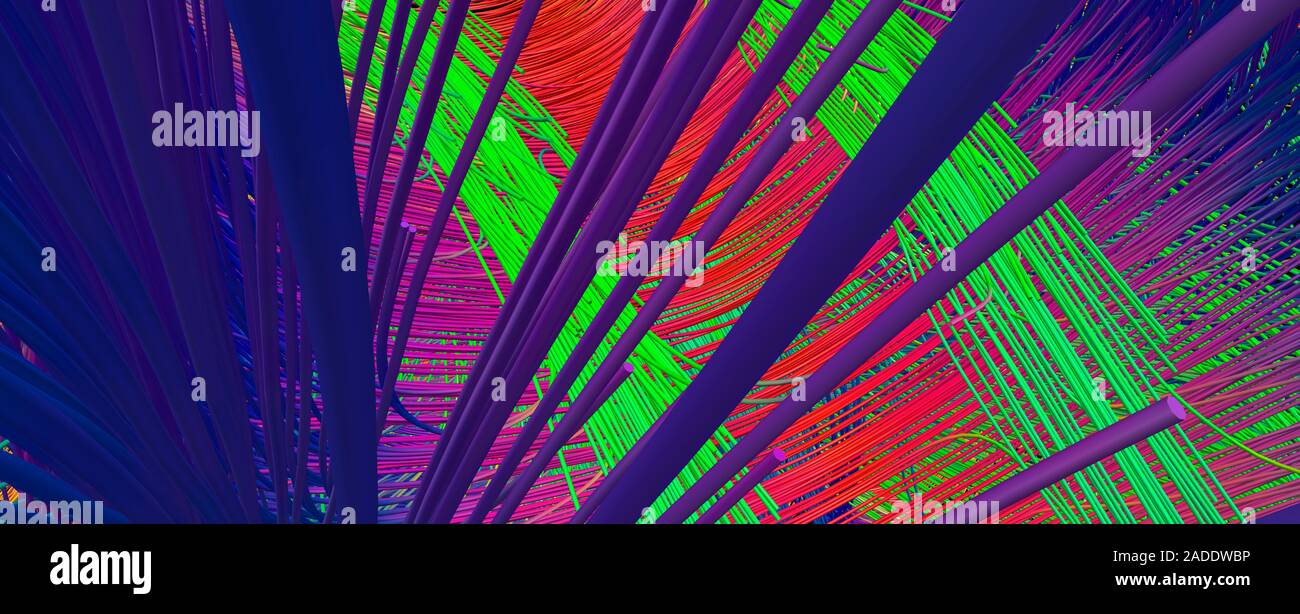 Diffusion tensor imaging (DTI) scan. Reconstructed brain white matter fibres of the corpus ...