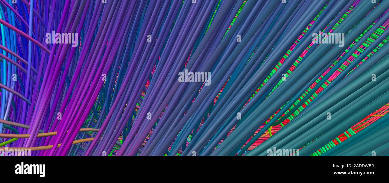 Diffusion Tensor Imaging Dti Scan Reconstructed Brain White Matter Fibres Of The Internal
