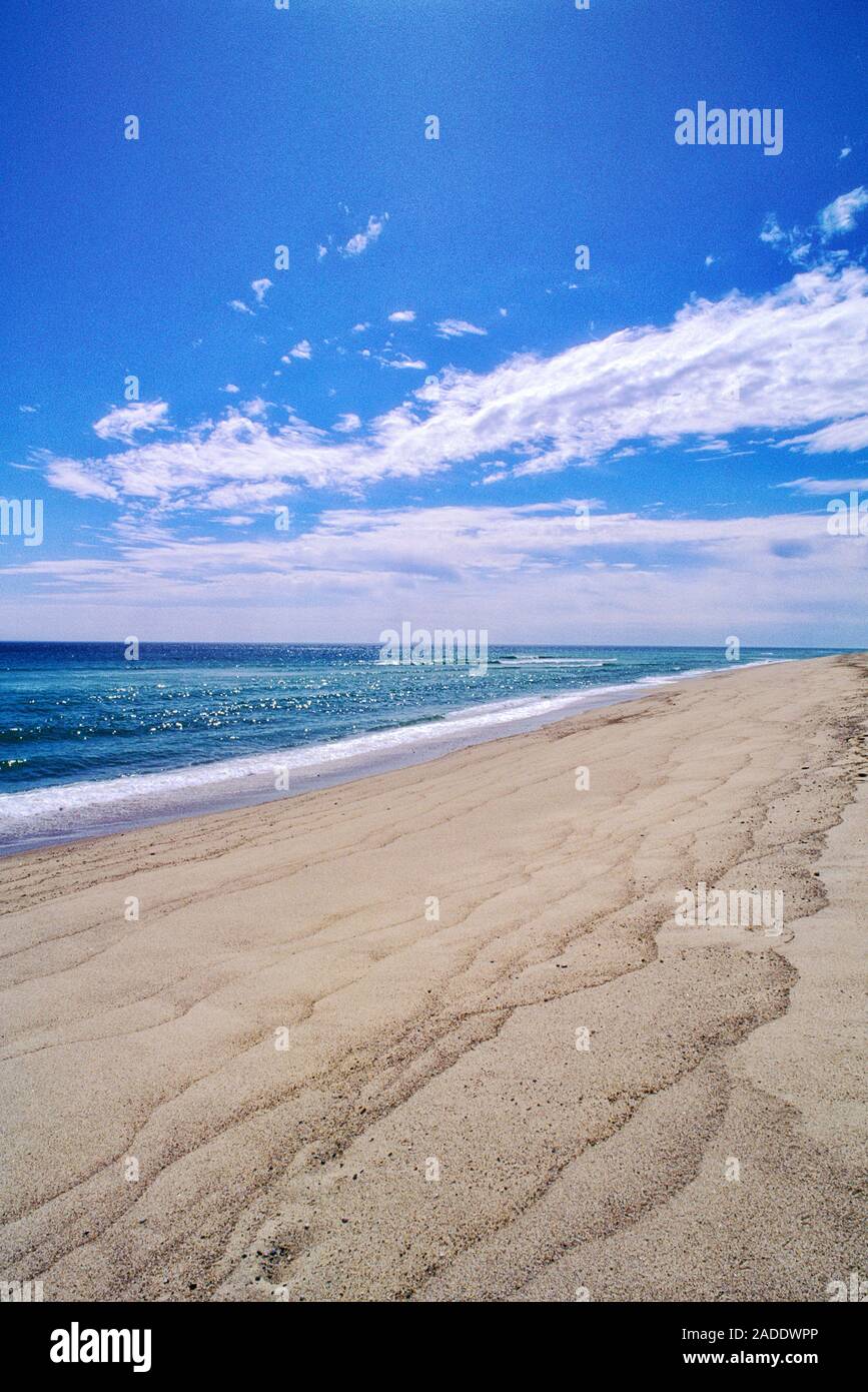 Beach, Truro, Cape Cod National Seashore Massachusetts, USA Stock Photo ...