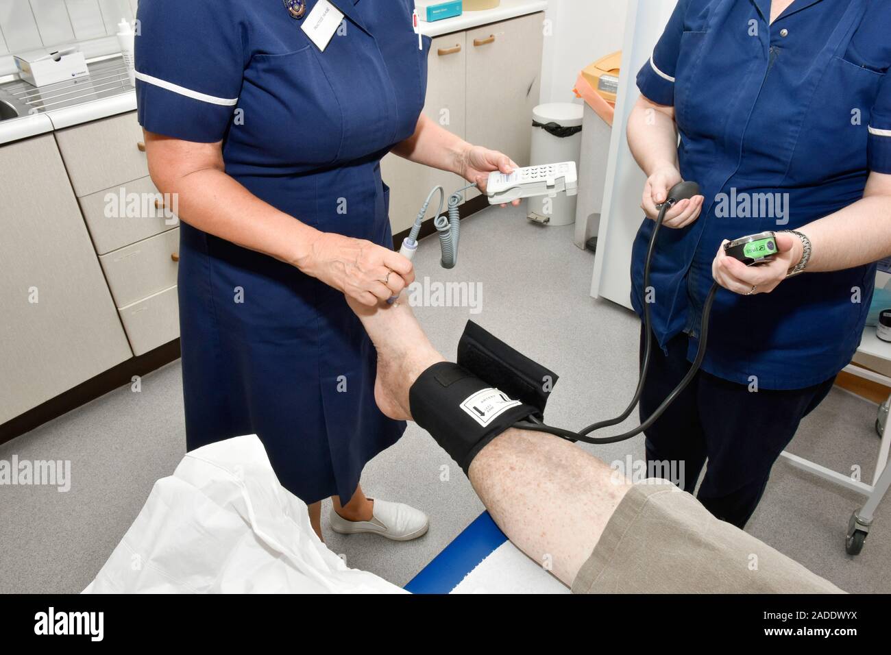 Doppler ultrasound for ankle-brachial pressure index. Medical staff ...