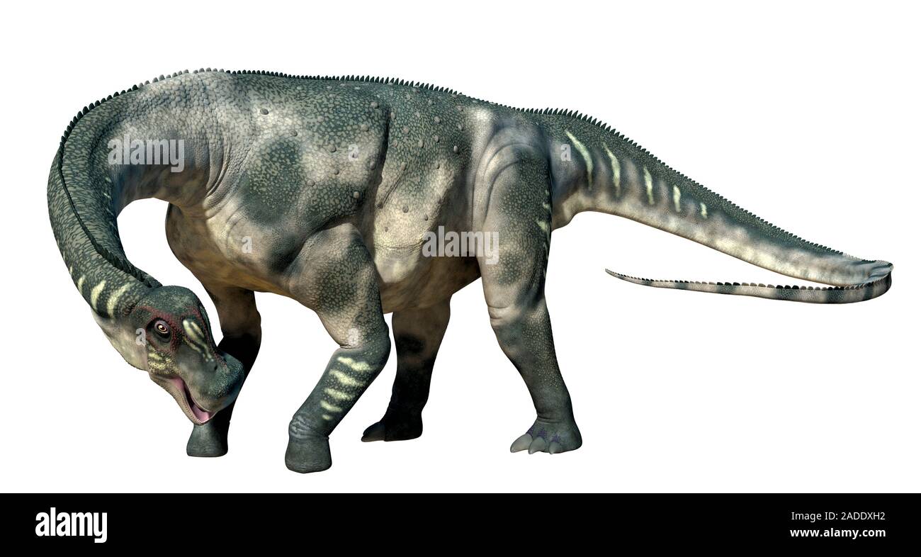 Hypselosaurus, illustration. The largest dinosaur eggs founds so far ...