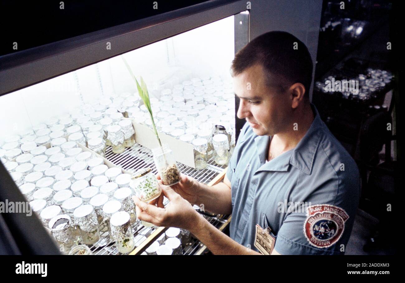 Plant research in the Lunar Receiving Laboratory. Rocks brought back ...