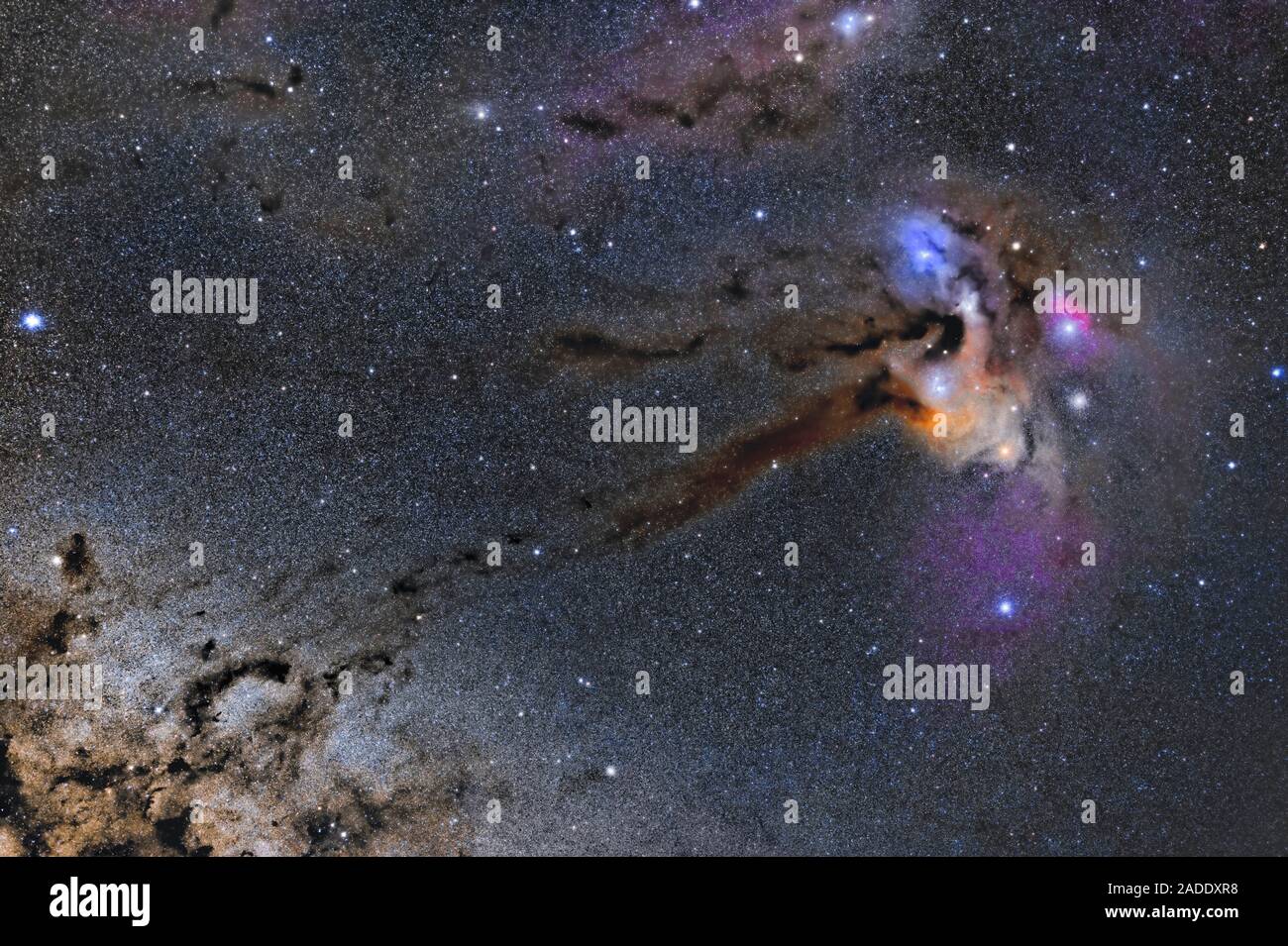 Rho Ophiuchi nebulae and molecular clouds, optical image. This region ...