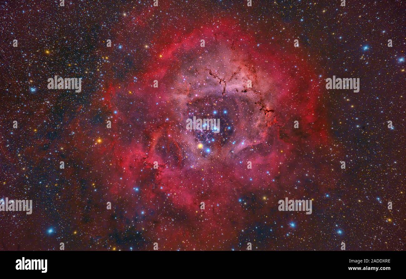 Rosette Nebula, optical image. This nebula (also known as Caldwell 49) is located around 5000 ...