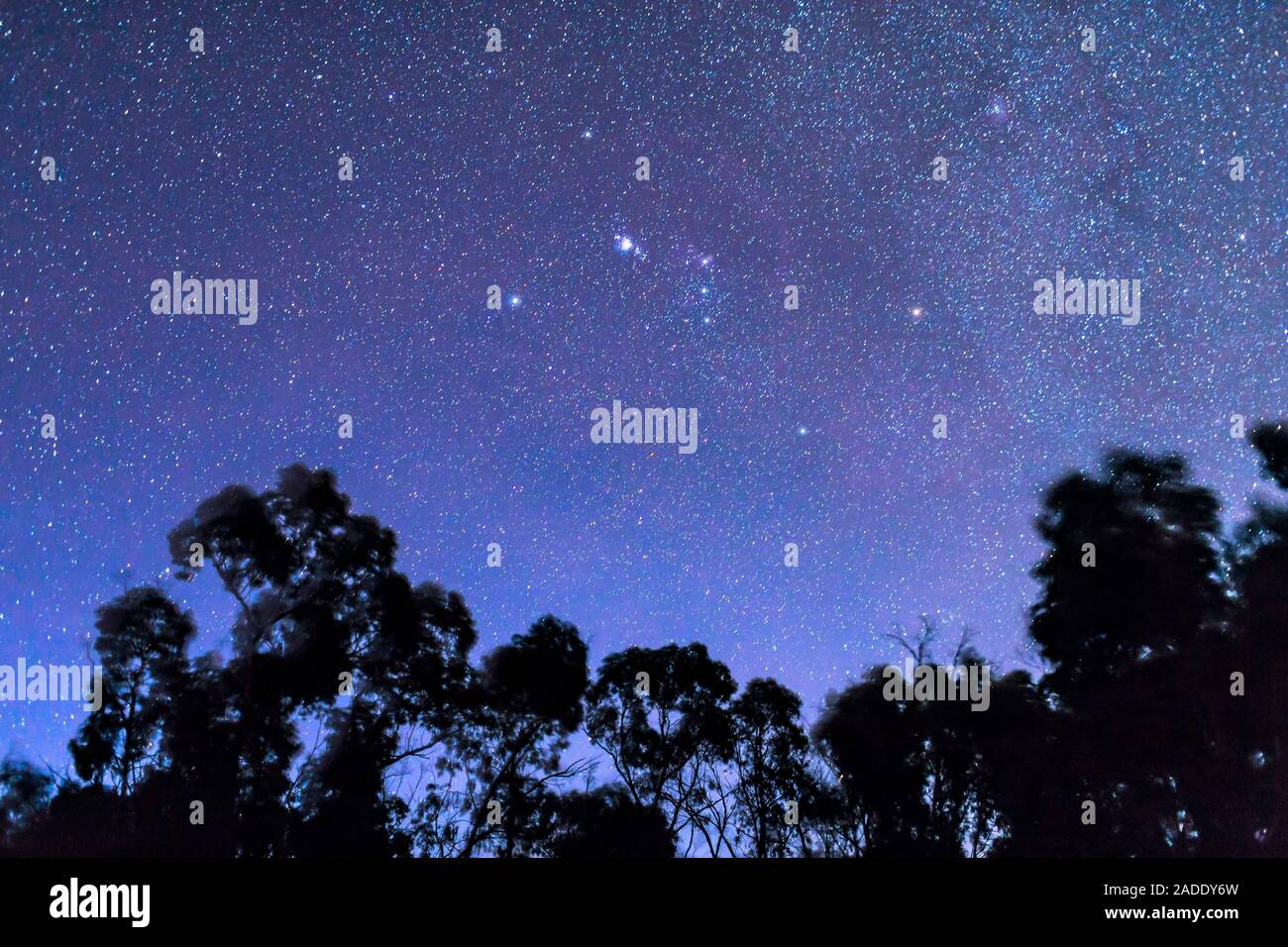 Orion setting in deep twilight sky. The Saucepan asterism popular in ...