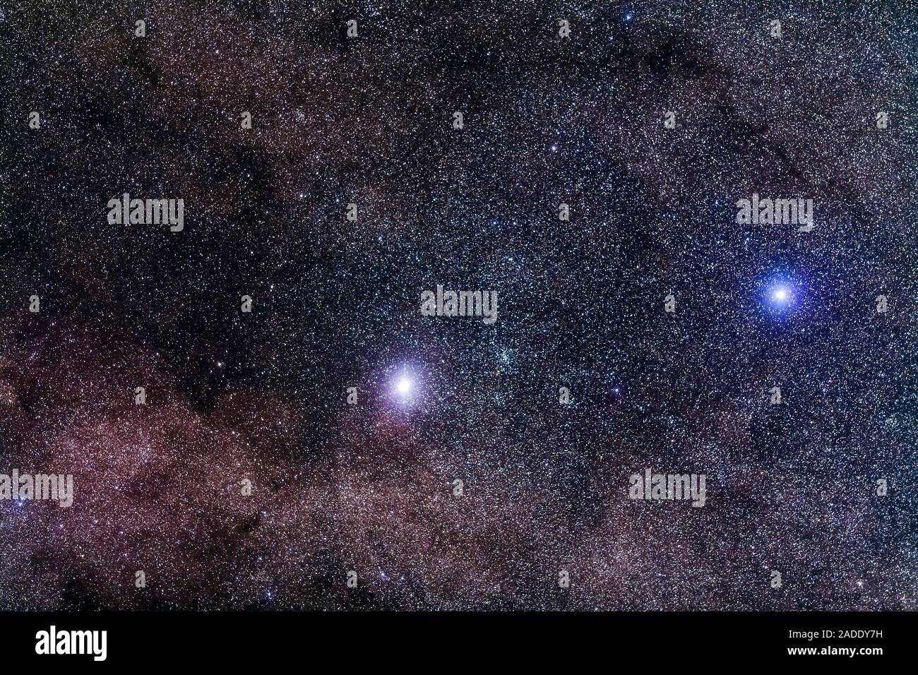 Rigel Kentaurus Star