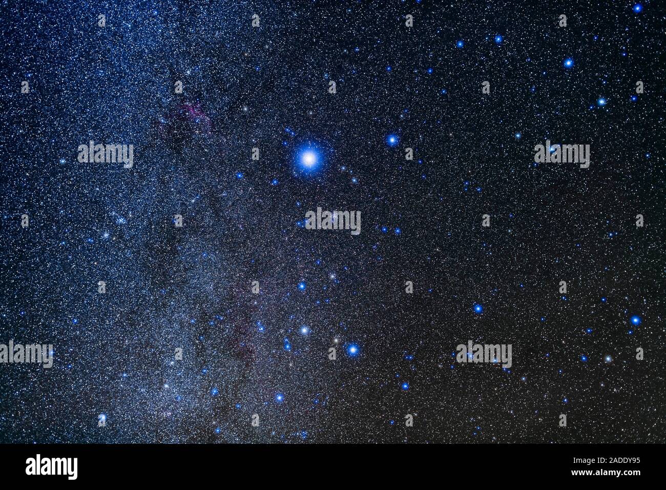 The constellation of Canis Major, the large hunting dog of Orion the ...