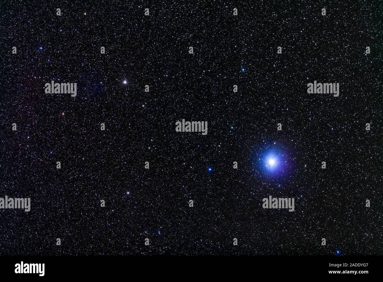 Canopus, the second brightest star in the night sky. The star at left ...