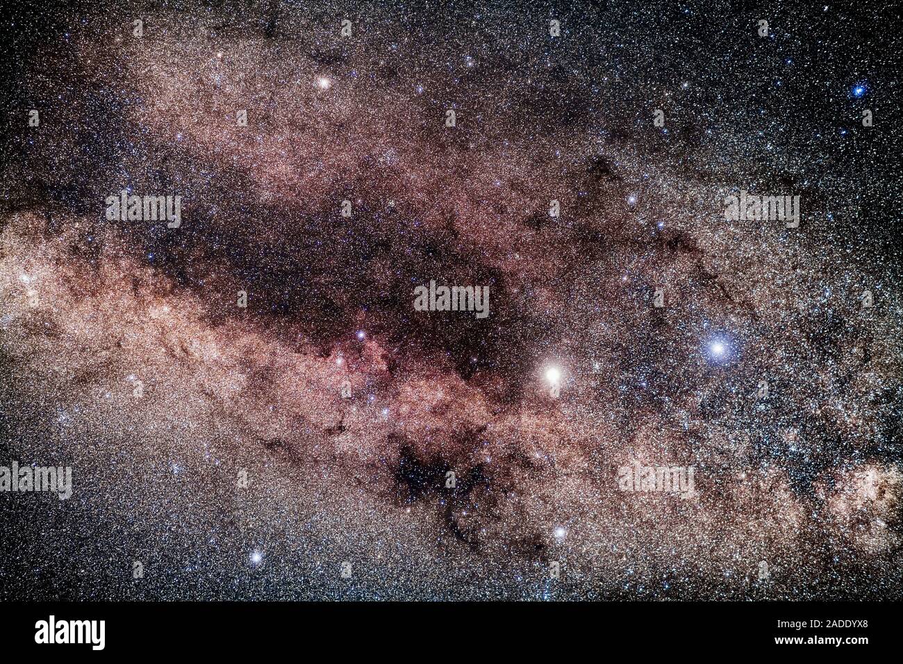 The bright stars Alpha Centauri (left) and Beta Centauri (right) at the ...