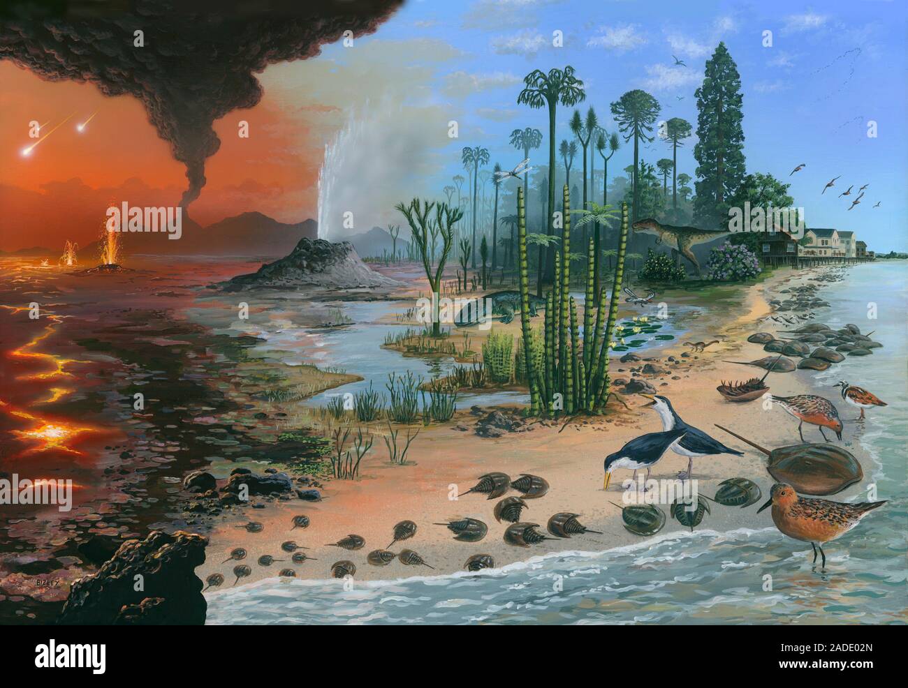Illustration spanning from the PreCambrian to the present ...