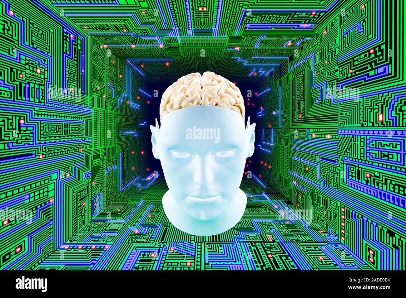 Artificial intelligence, conceptual illustration. Human head and brain ...