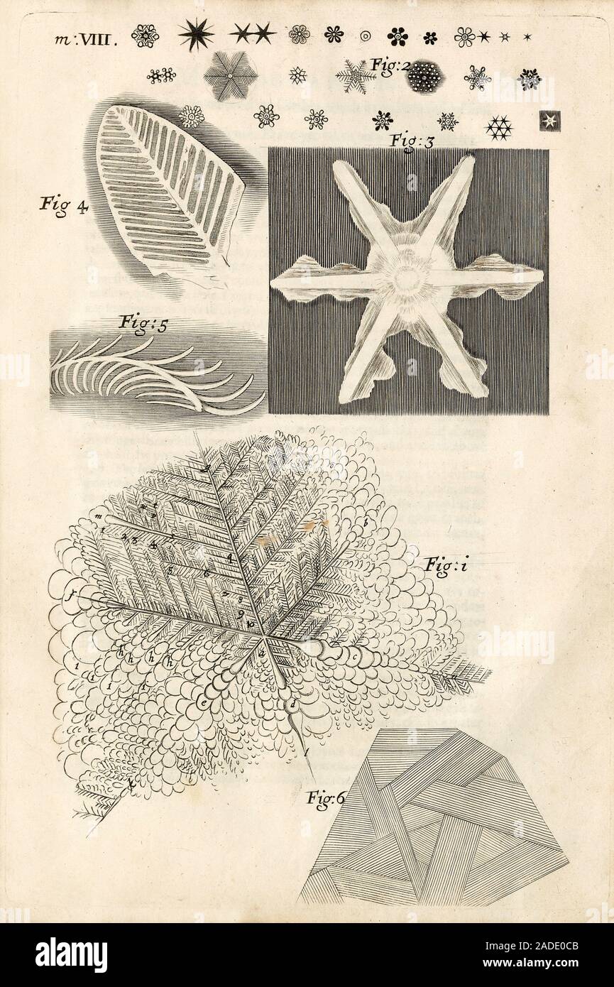 Ice crystals in Hooke's 'Micrographia'. 17th-century illustration of ...